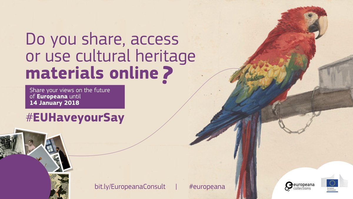 Developing Europe’s Digital Platform for cultural heritage: public ...