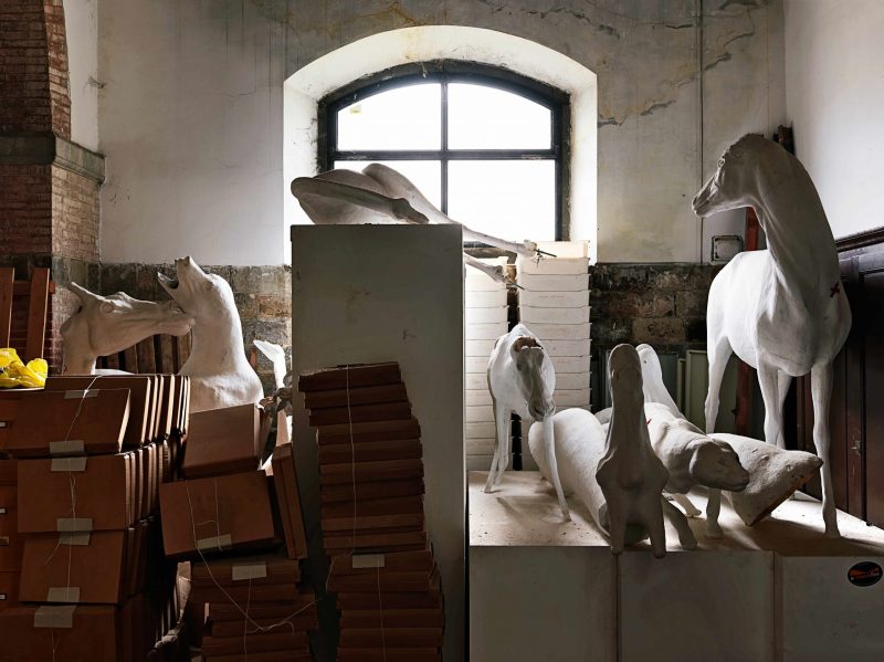 Survey about stored collections of museums | Digital meets Culture