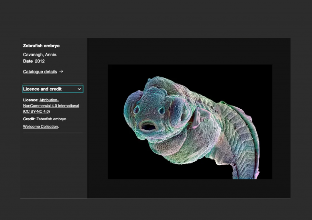 Digital Heritage Definition at Kim Delapaz blog